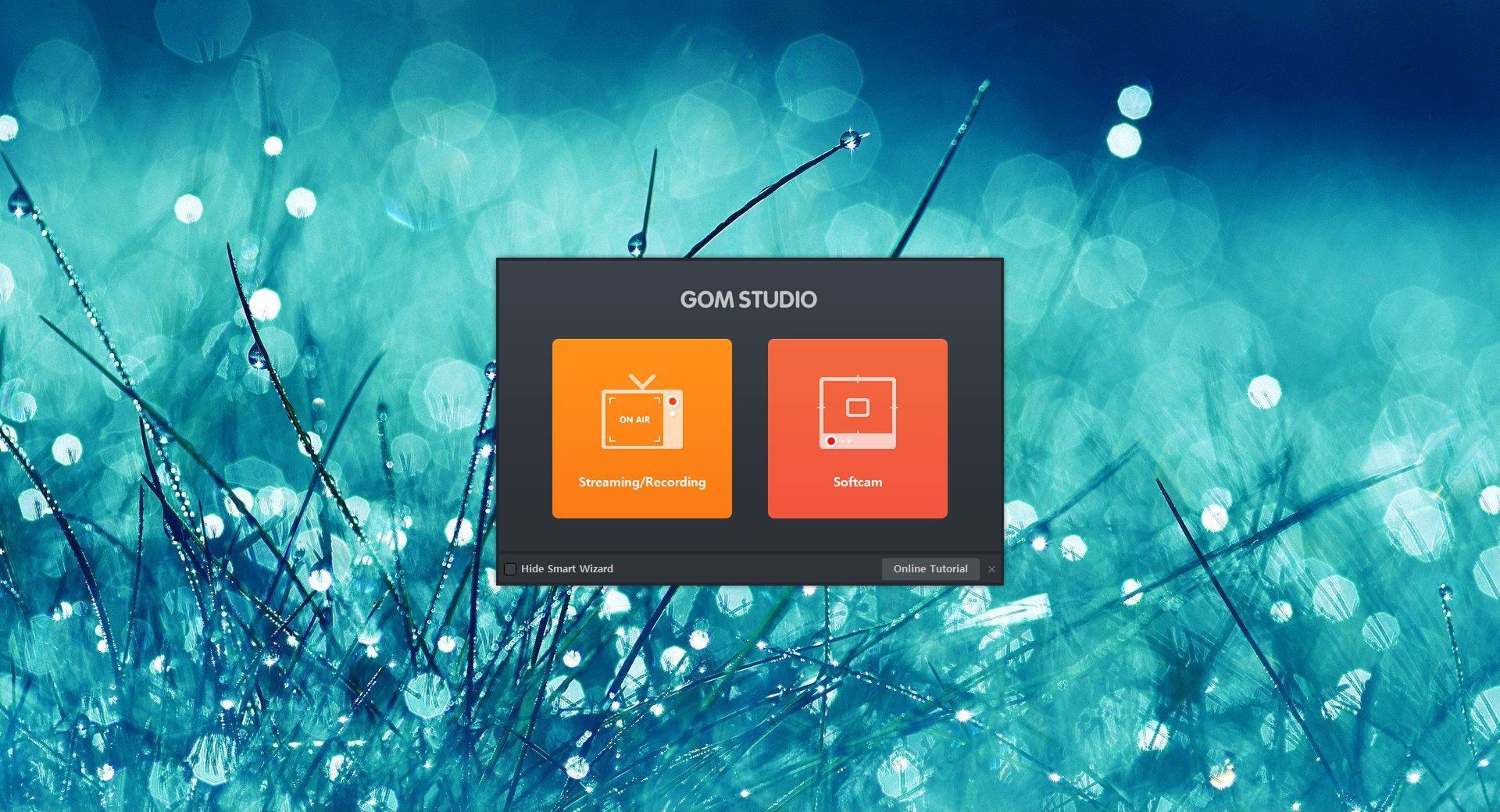 GOM Studio 1.7.0.4148 - dobreprogramy