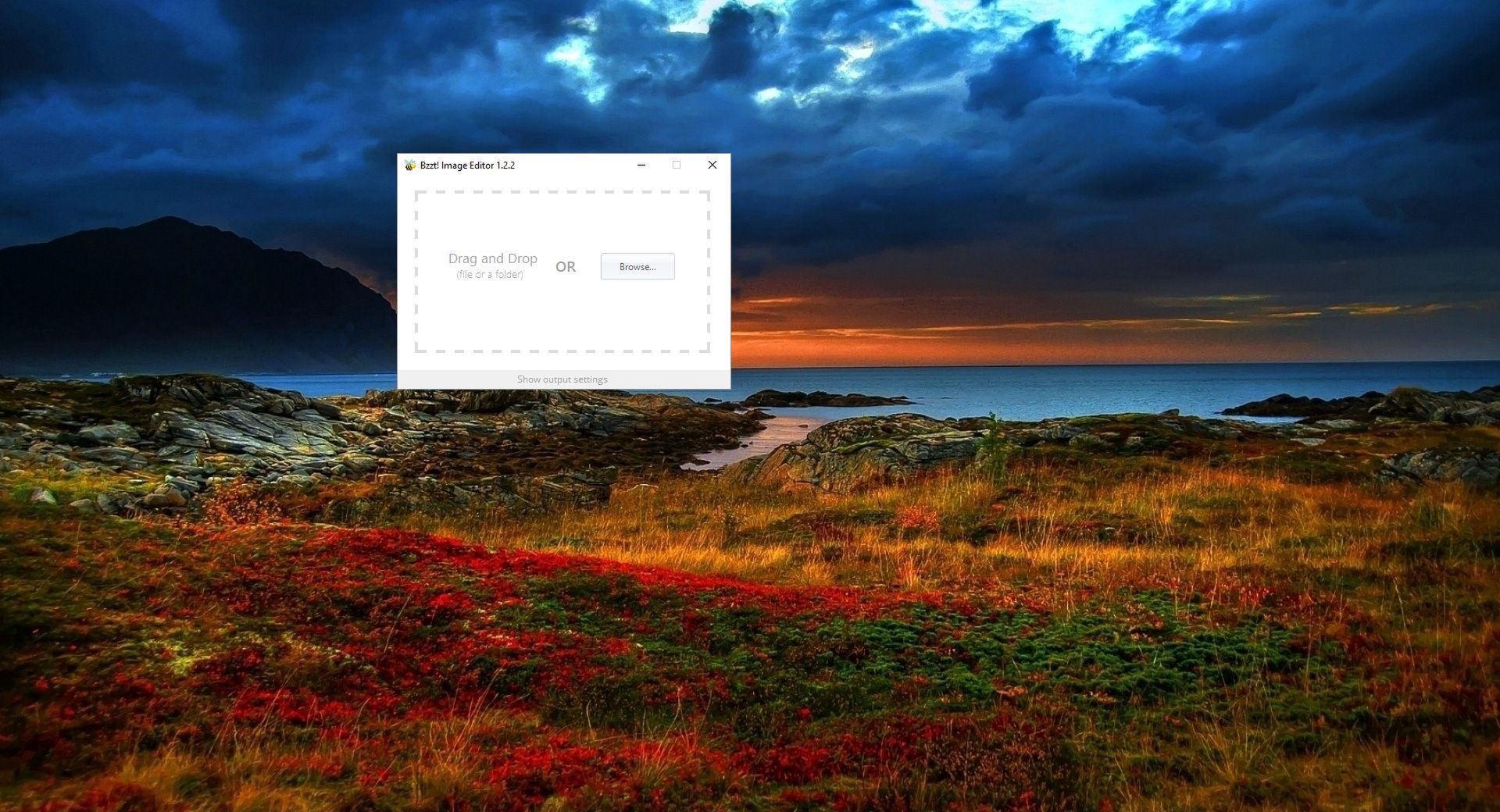 Bzzt! Image Editor 1.3.0.2 - dobreprogramy