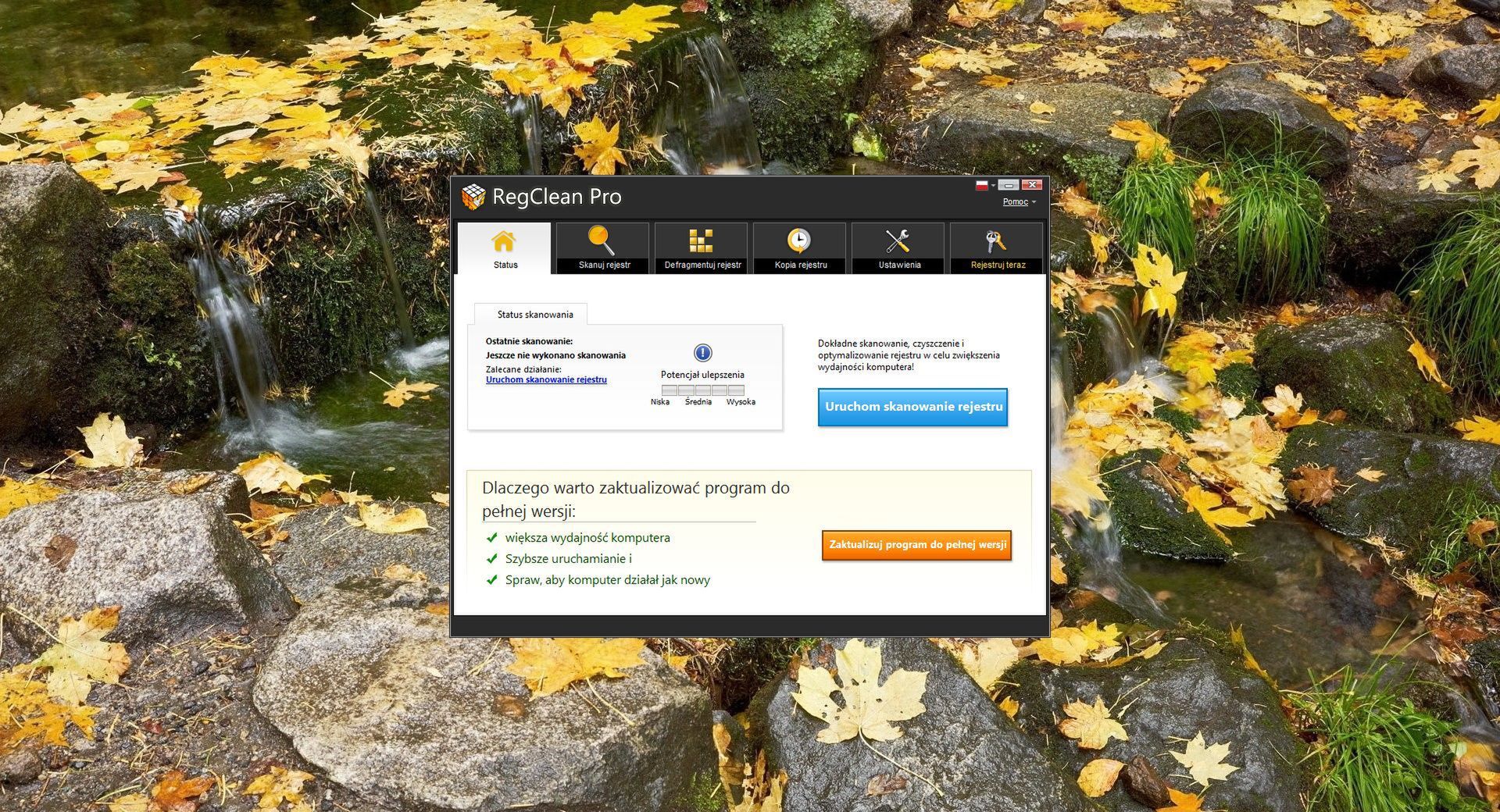 RegClean Pro 8.45.81.1144 - dobreprogramy