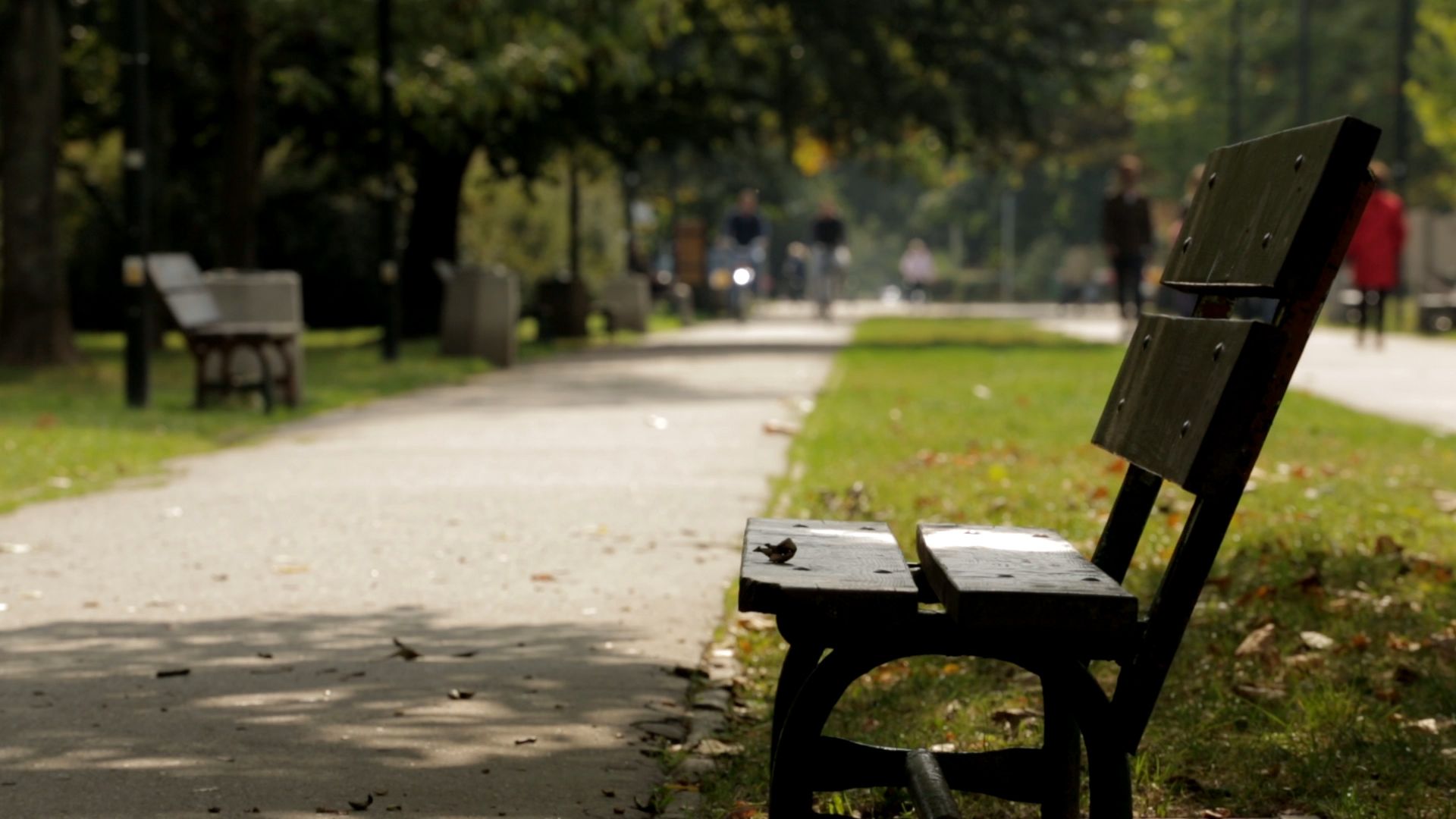 Park Praski – Warszawa. Park przejdzie gruntowną modernizację. Stanie ...
