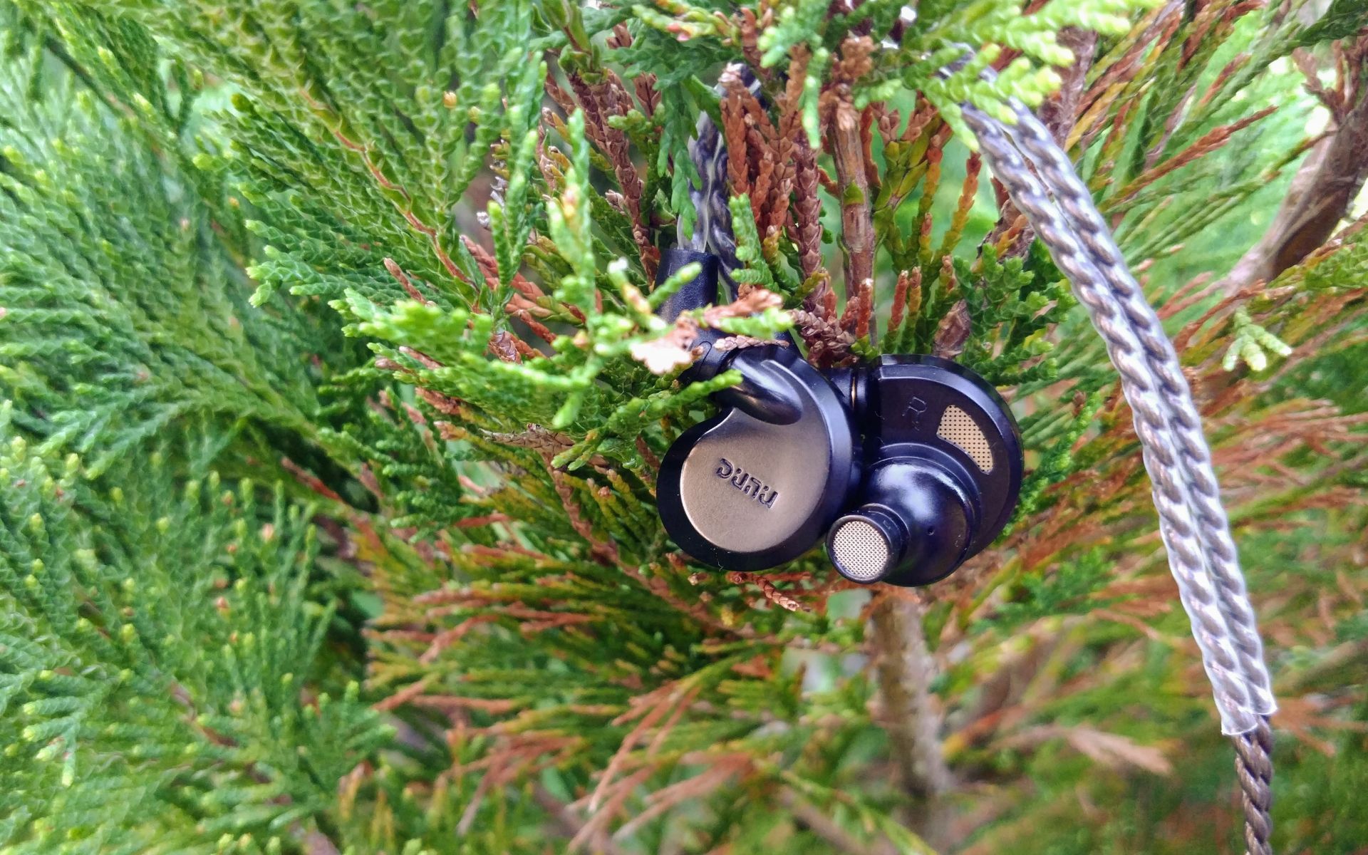 DUNU Falcon-C - wysoki poziom ekscytacji gwarantowany [TEST]