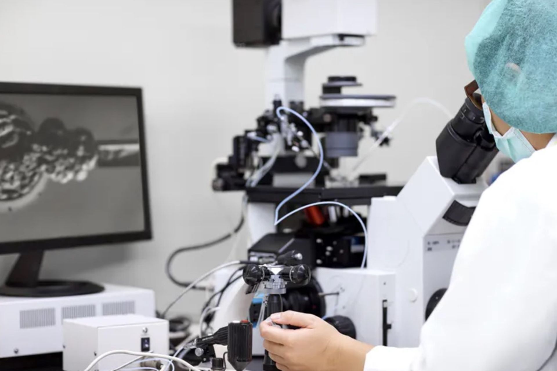 Denmark expands free IVF to boost low birth rate