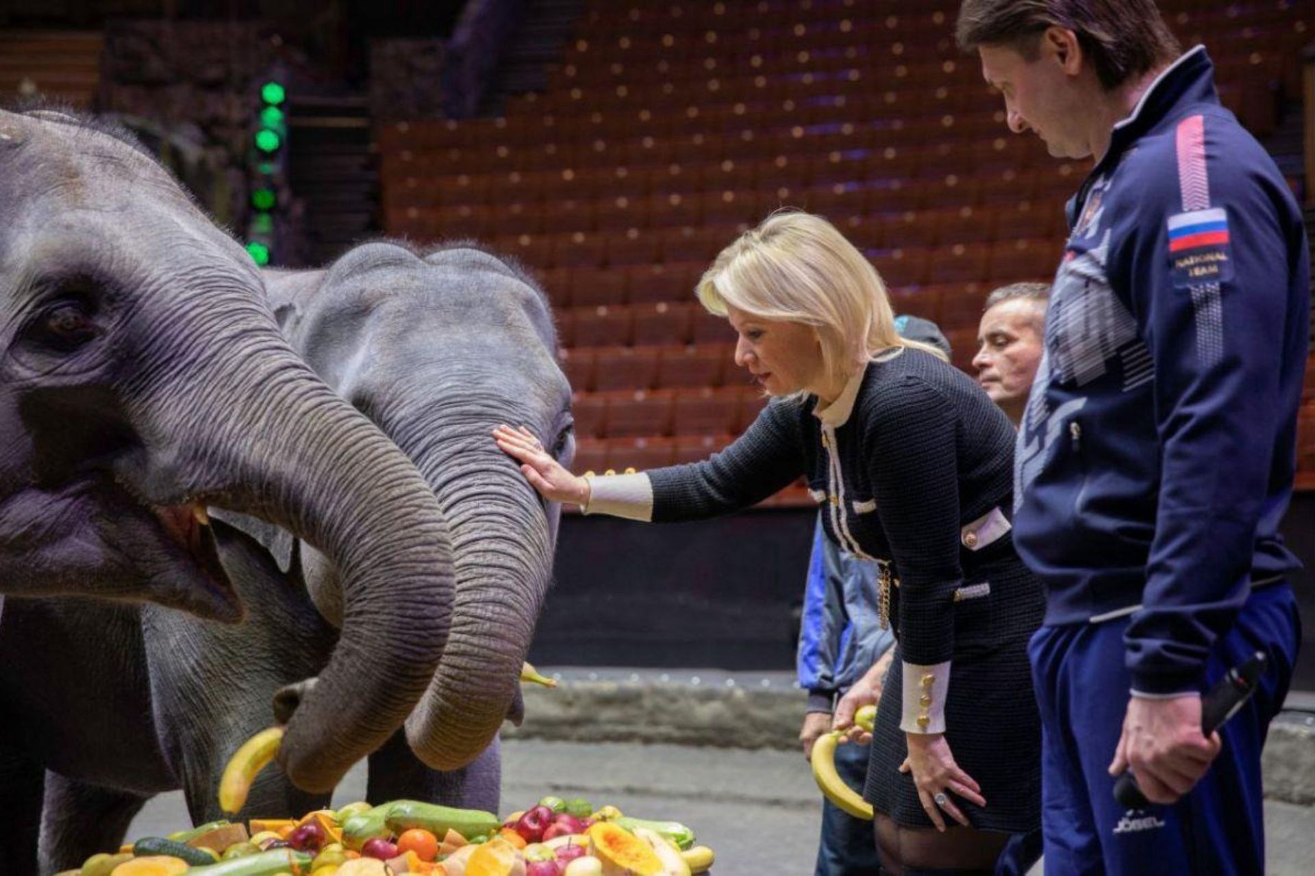 Burmese junta's elephant diplomacy: Jets for pachyderms