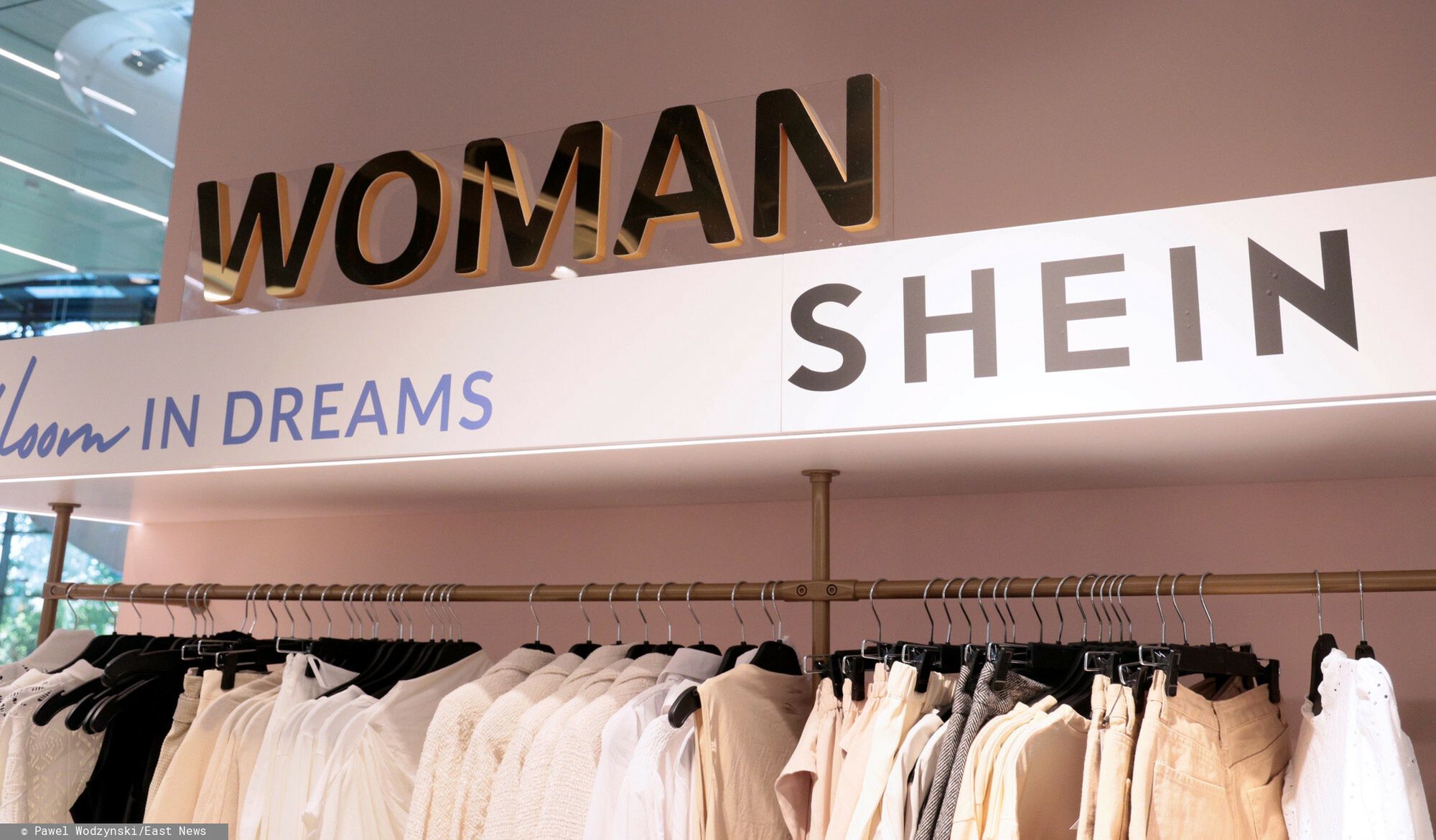 Scorpion stings German woman after ordering from Shein