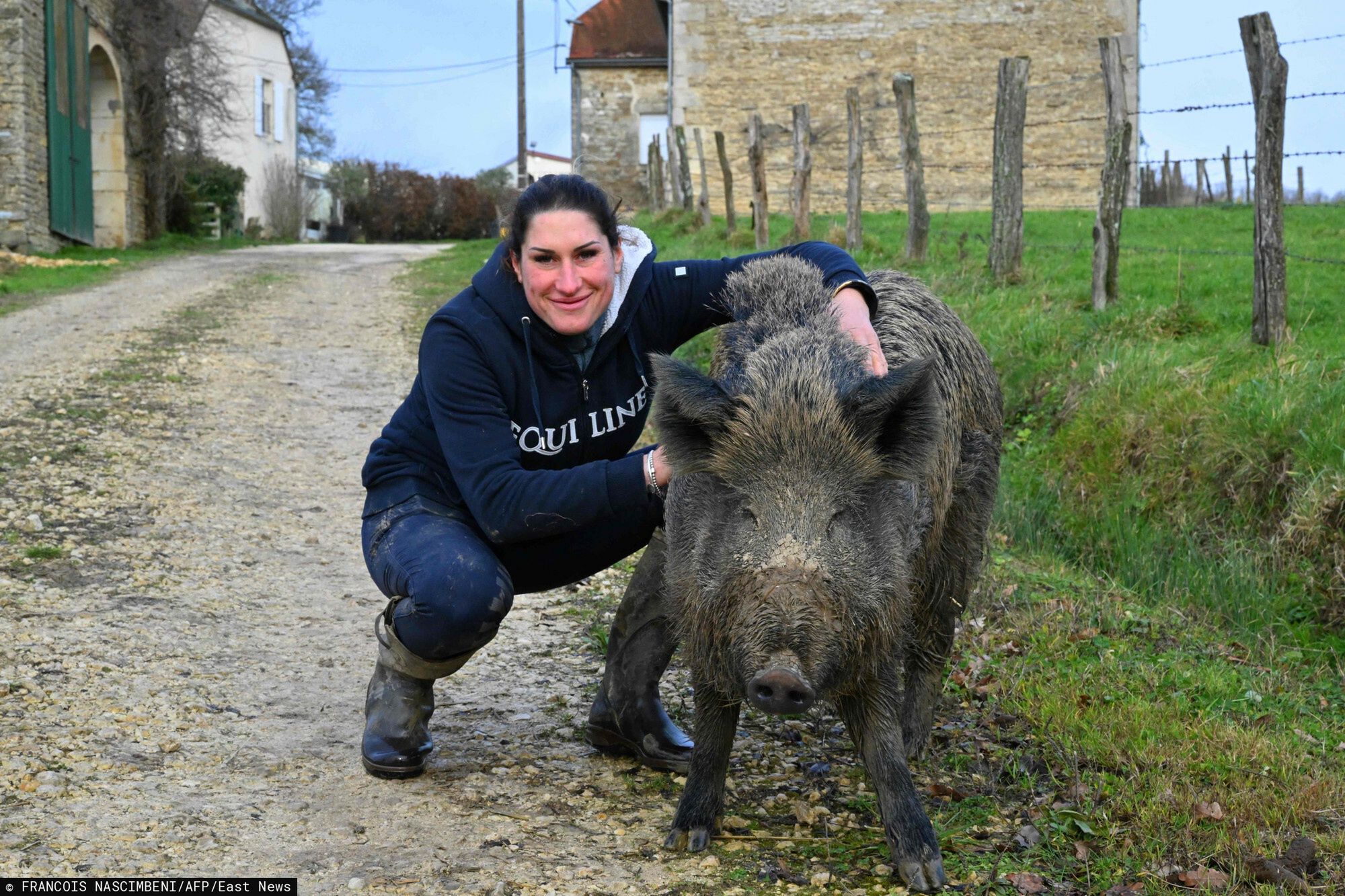 French horse breeder wins legal battle to save pet boar