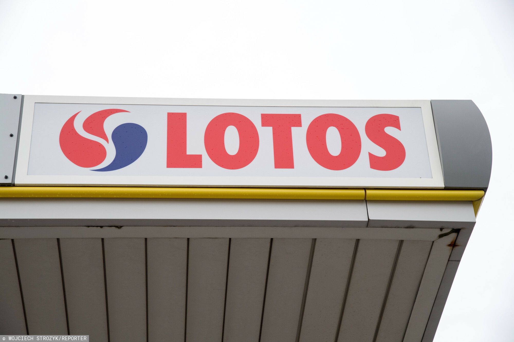 "Zmarnowany milion dolarów" - Lotos miał w planach elektryka, który nie ...