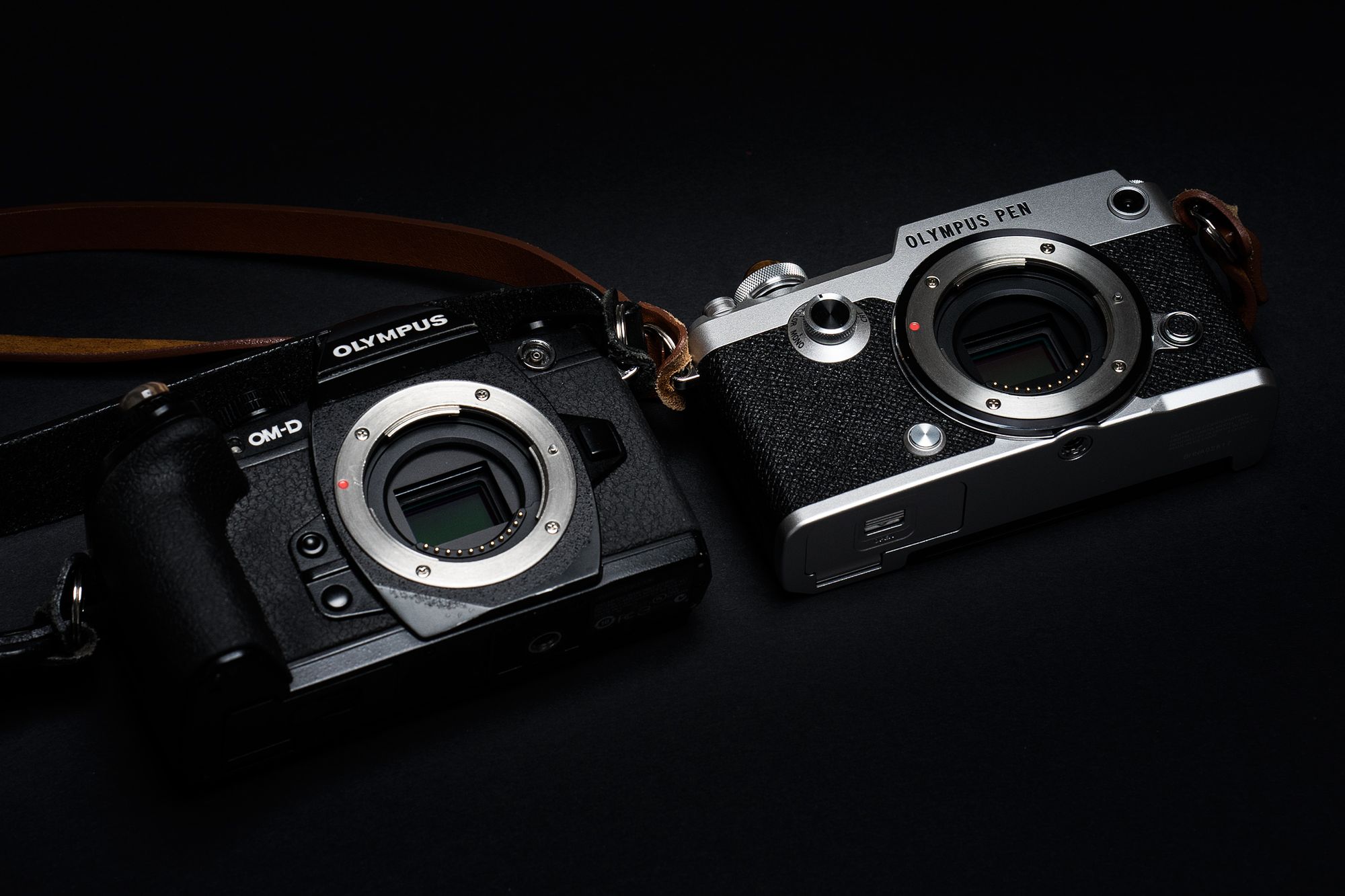 Jak działa autofokus aparatu? Najważniejsze co powinieneś wiedzieć w ...