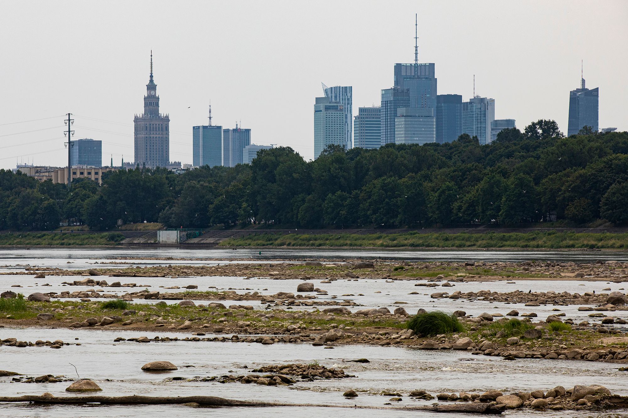 Susza hydrologiczna postępuje. Wisła odsłoniła swoje dno po raz kolejny