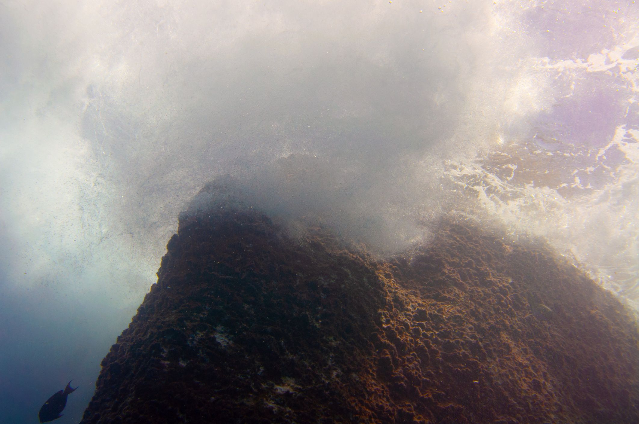 Underwater volcano Axial Seamount poised for eruption by 2025