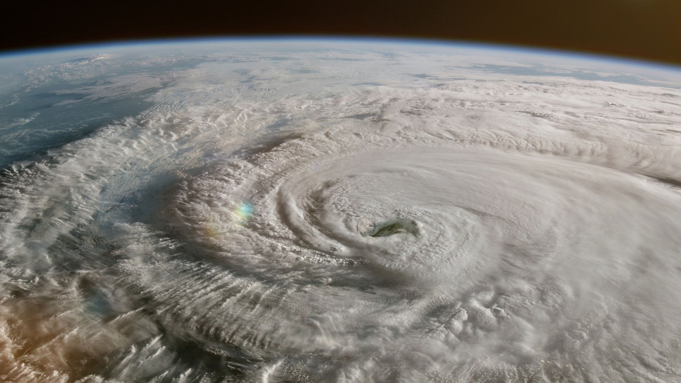 Naukowcy zdumieni. Niektóre ptaki lecą prosto do tajfunu