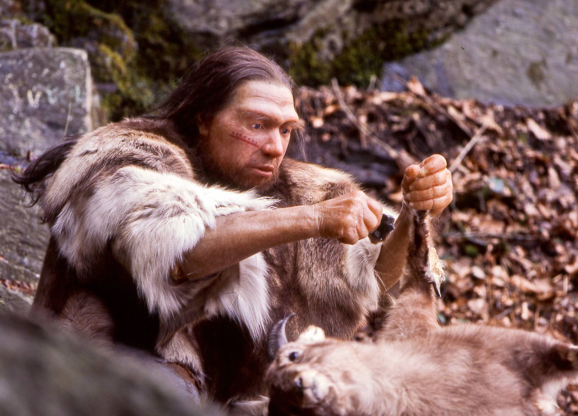 Neanderthal love saga: A 7,000-year impact on human DNA