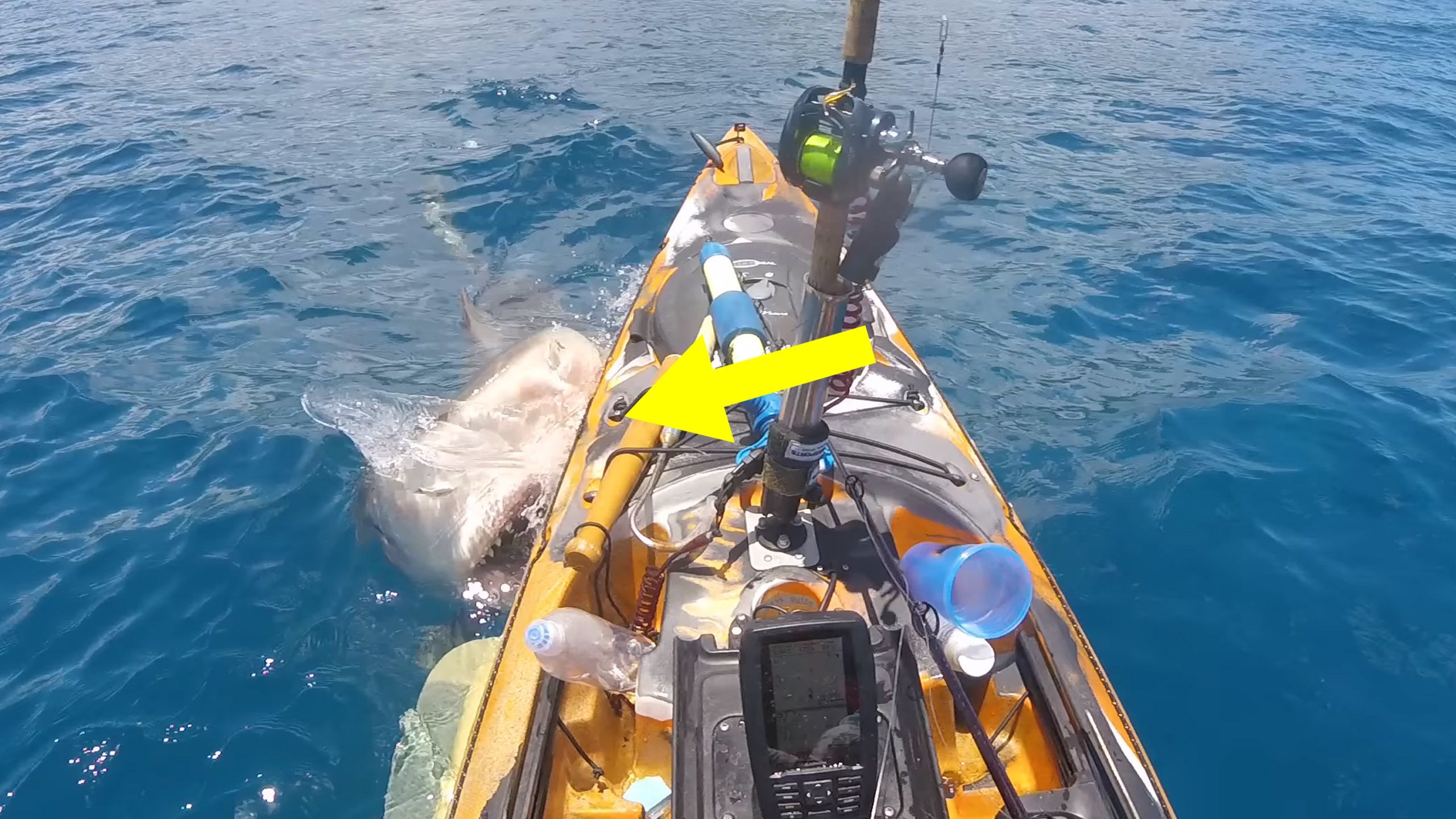 Płynął przed siebie i nie wiedział, co go czeka. Kamerka nagrała atak ...