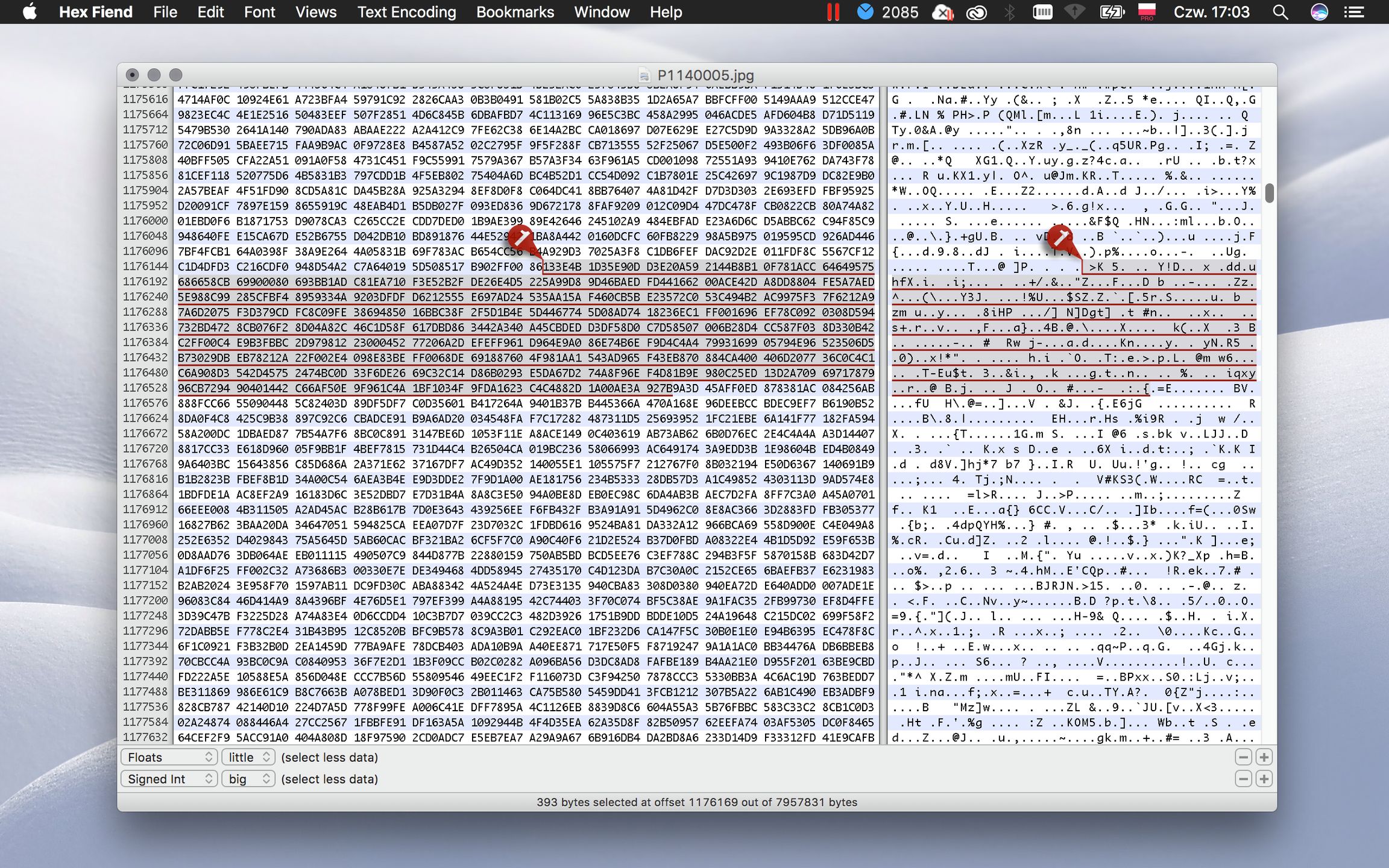 Hex Fiend 2.1.2 (macOS) - dobreprogramy