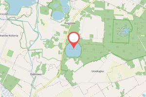 Jezioro Rogóźno noclegi, plaża, kąpielisko - Nocowanie.pl