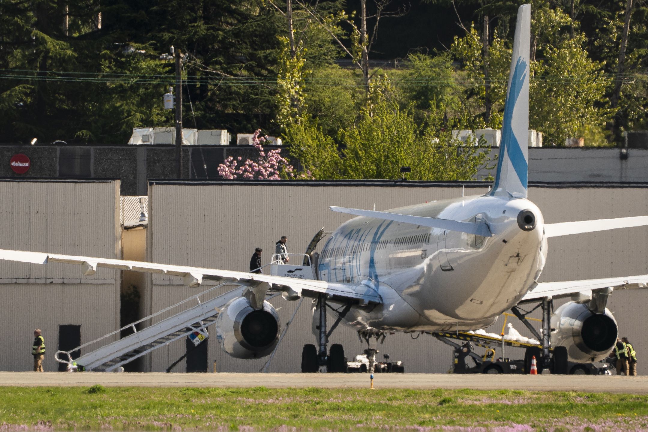 Operation tidal wave: Hundreds detained in immigration crackdown