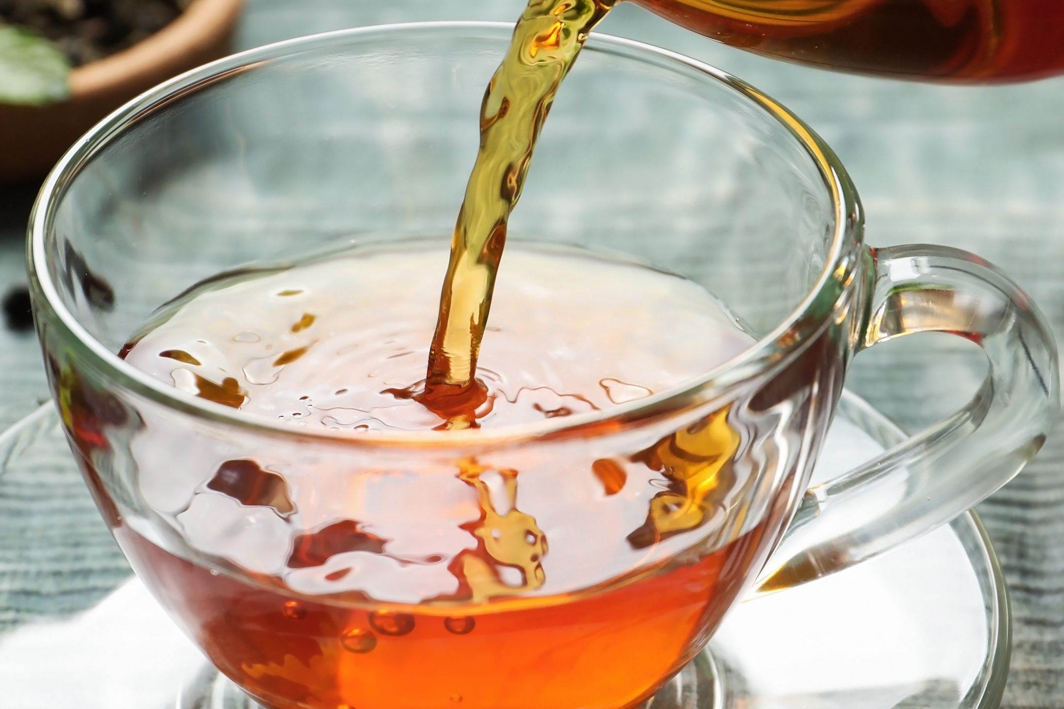 Yaupon tea: America's forgotten brew returns with a boost