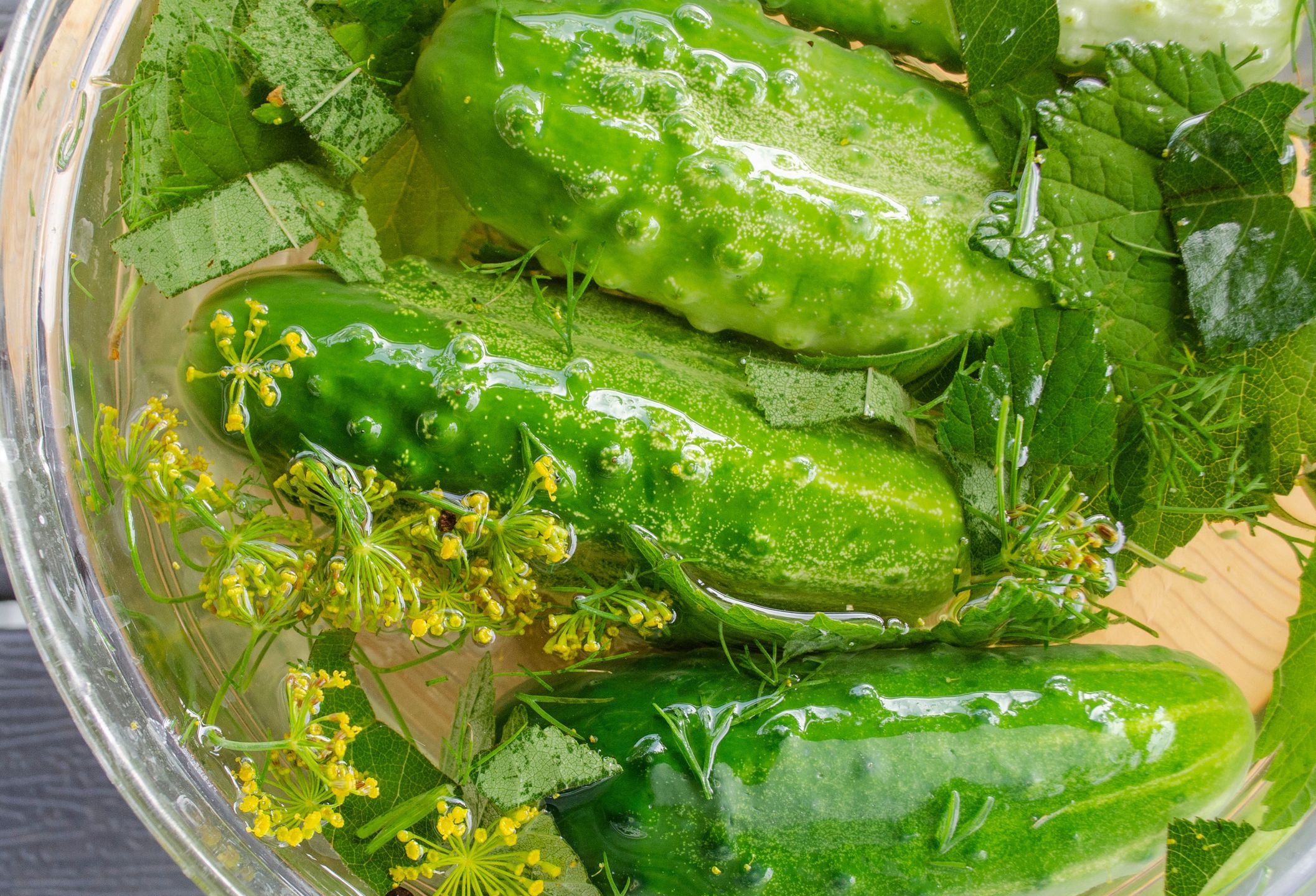 The crucial choice: Selecting the right dill for perfect pickles