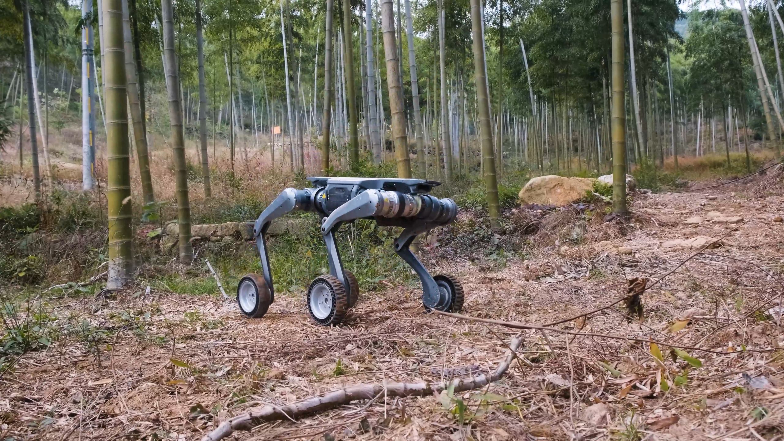 Chinese military unveils AI-powered wolf robots for complex terrain