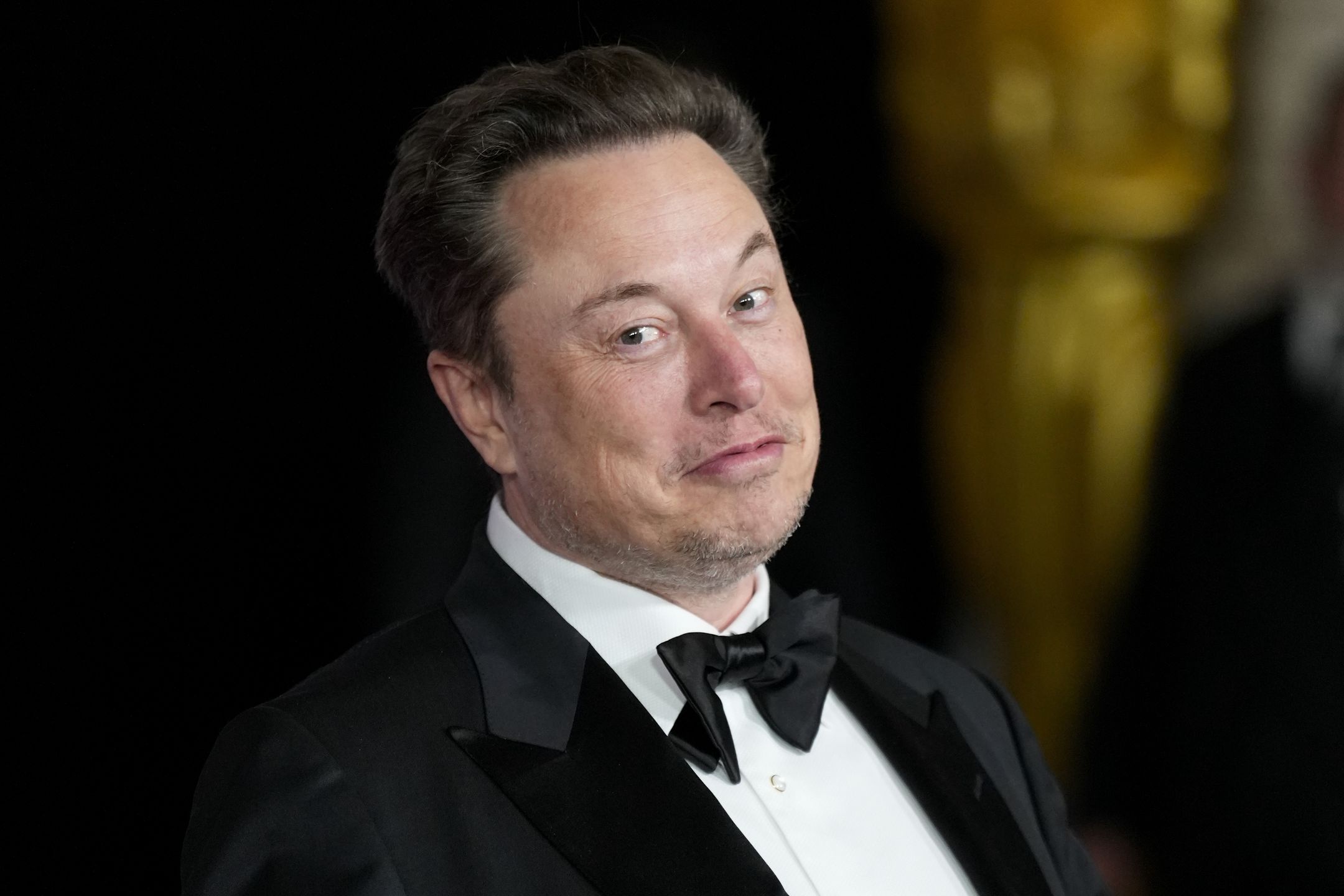 Elon Musk entfacht Debatte: AfD-Unterstützung spaltet Politik