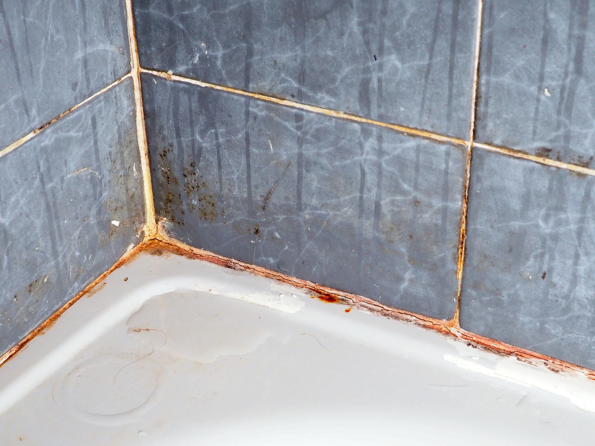Homemade paste and toilet cleaner: Grout's worst enemies