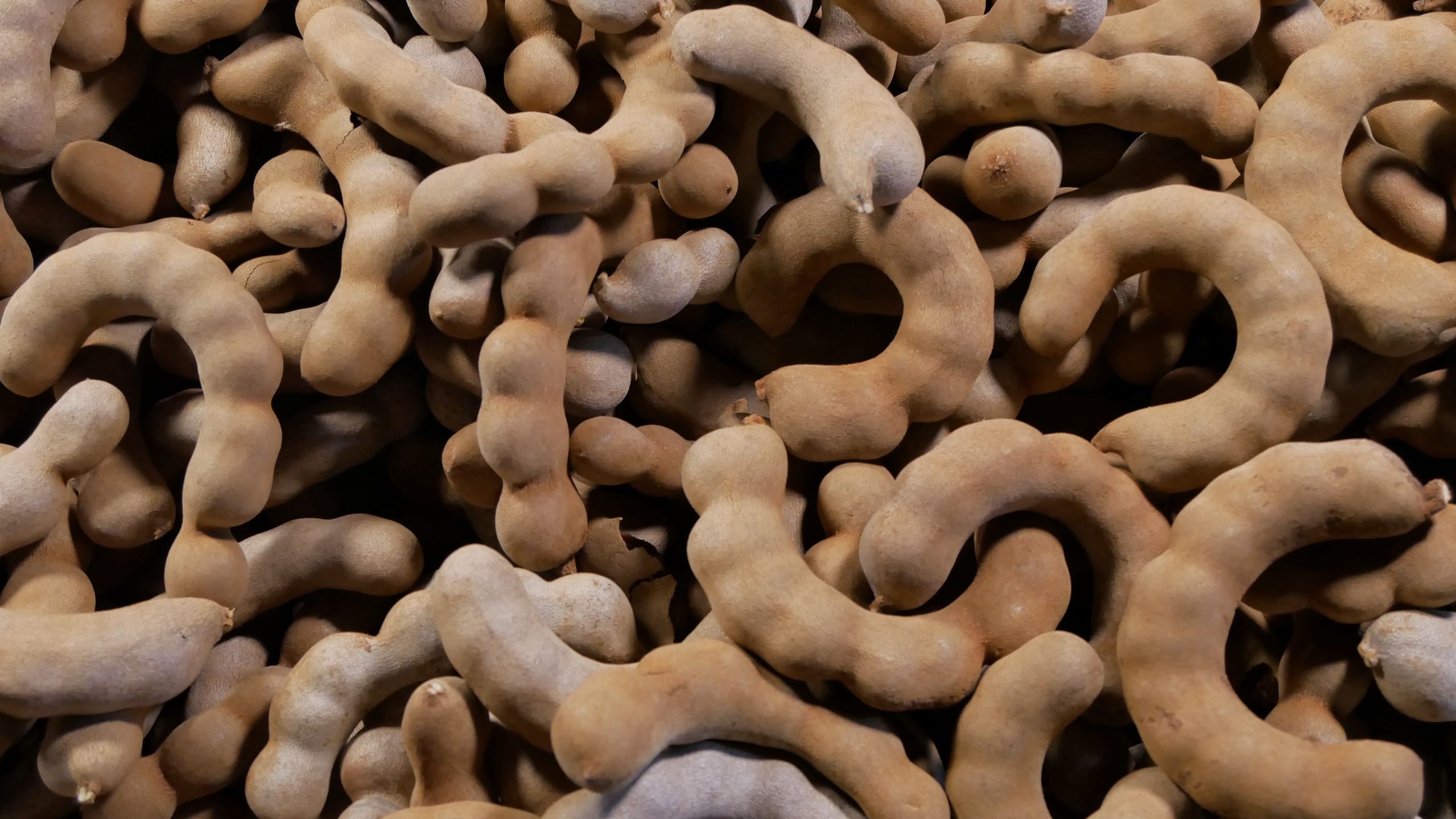 Tamarind paste: The exotic ingredient redefining global cuisine