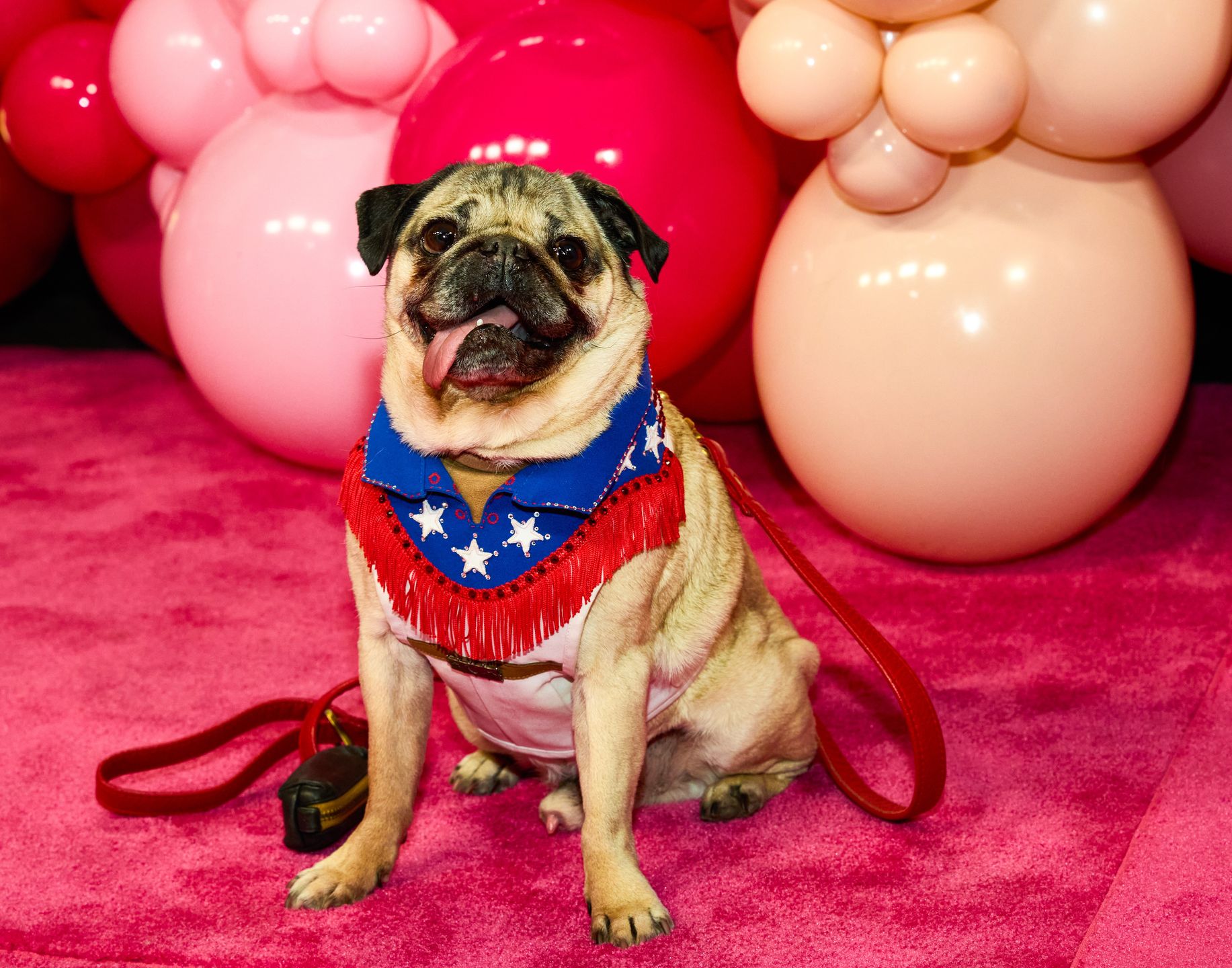 Dolly Parton hosted 'Pet Gala' special. She looked amazing in her glowy ...