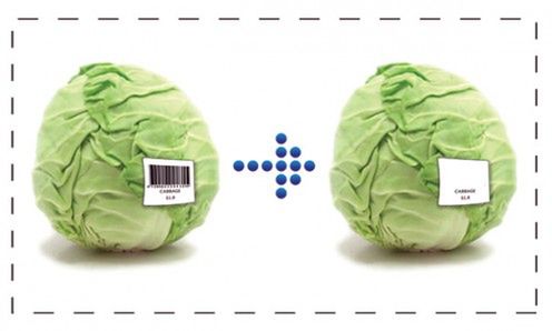 Fresh Code - kreskowy kod świeżości