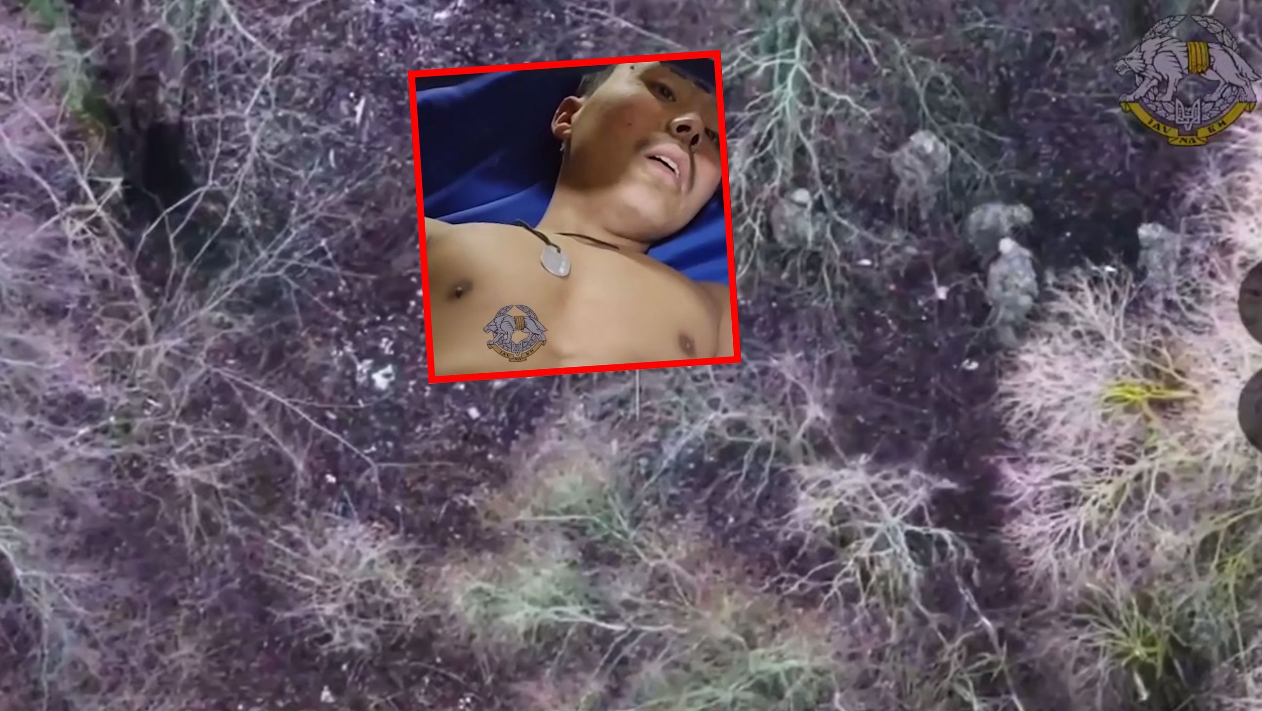 Ukraine captures North Korean soldiers in Russian territory