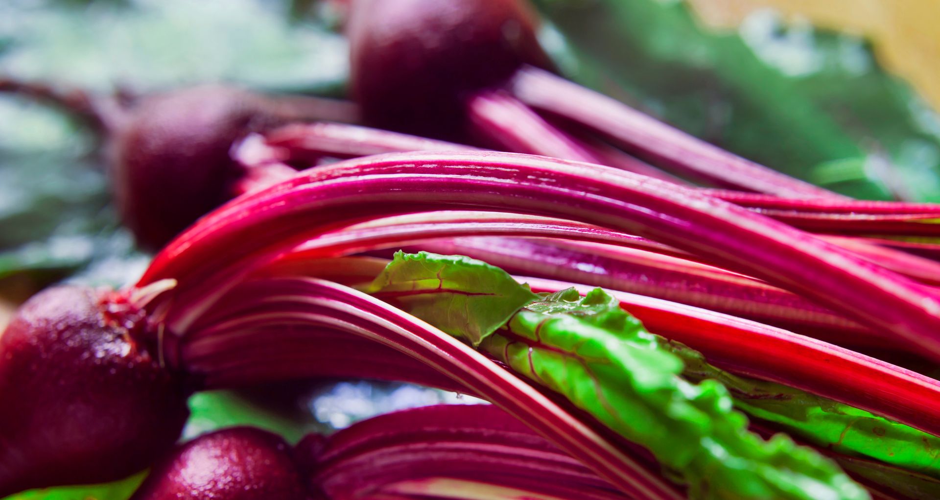 Preserve Health With Beet Leaves Benefits Tips And Recipe For Winter