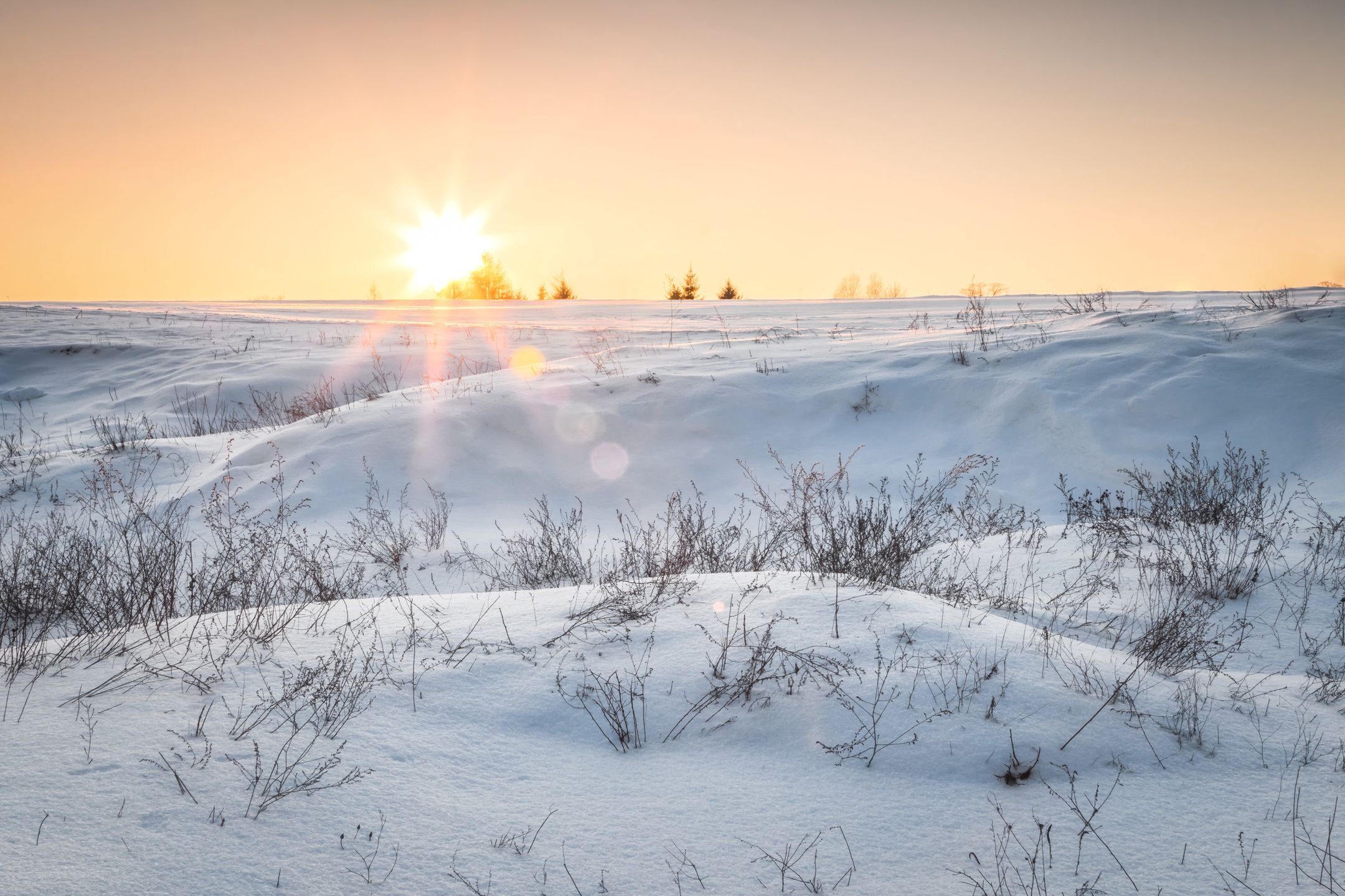 Saudi Arabia's Al-Jouf celebrates historic first snowfall