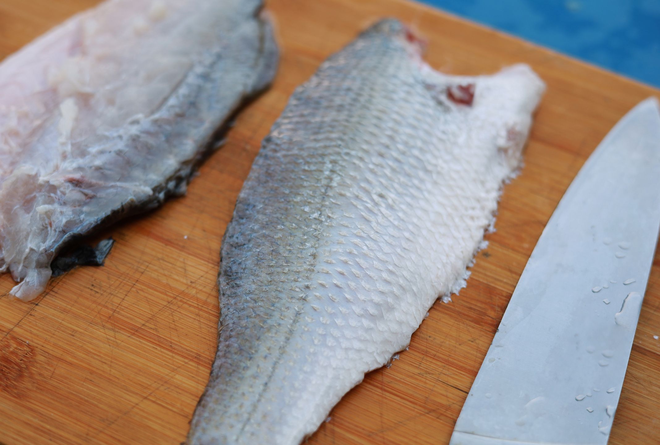 Discover the hidden health benefits of sea bass