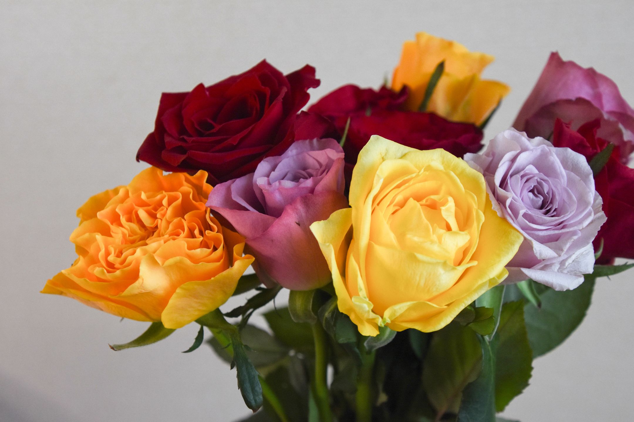 Hidden messages: Understanding flowers' symbolic language