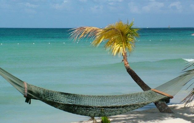 Para Uprawia Seks Na Rajskiej Plaży Telegraph