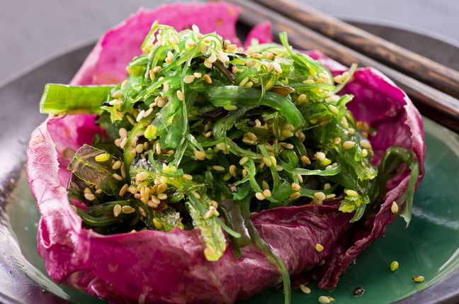 Algi morskie - co to jest? - Zastosowanie alg morskich w medycynie | WP ...