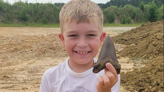 Niezwykłe znalezisko 8-latka. Wykopał to podczas wakacji | WP parenting Niezwykłe znalezisko 8-latka. Wykopał to podczas wakacji | WP parenting