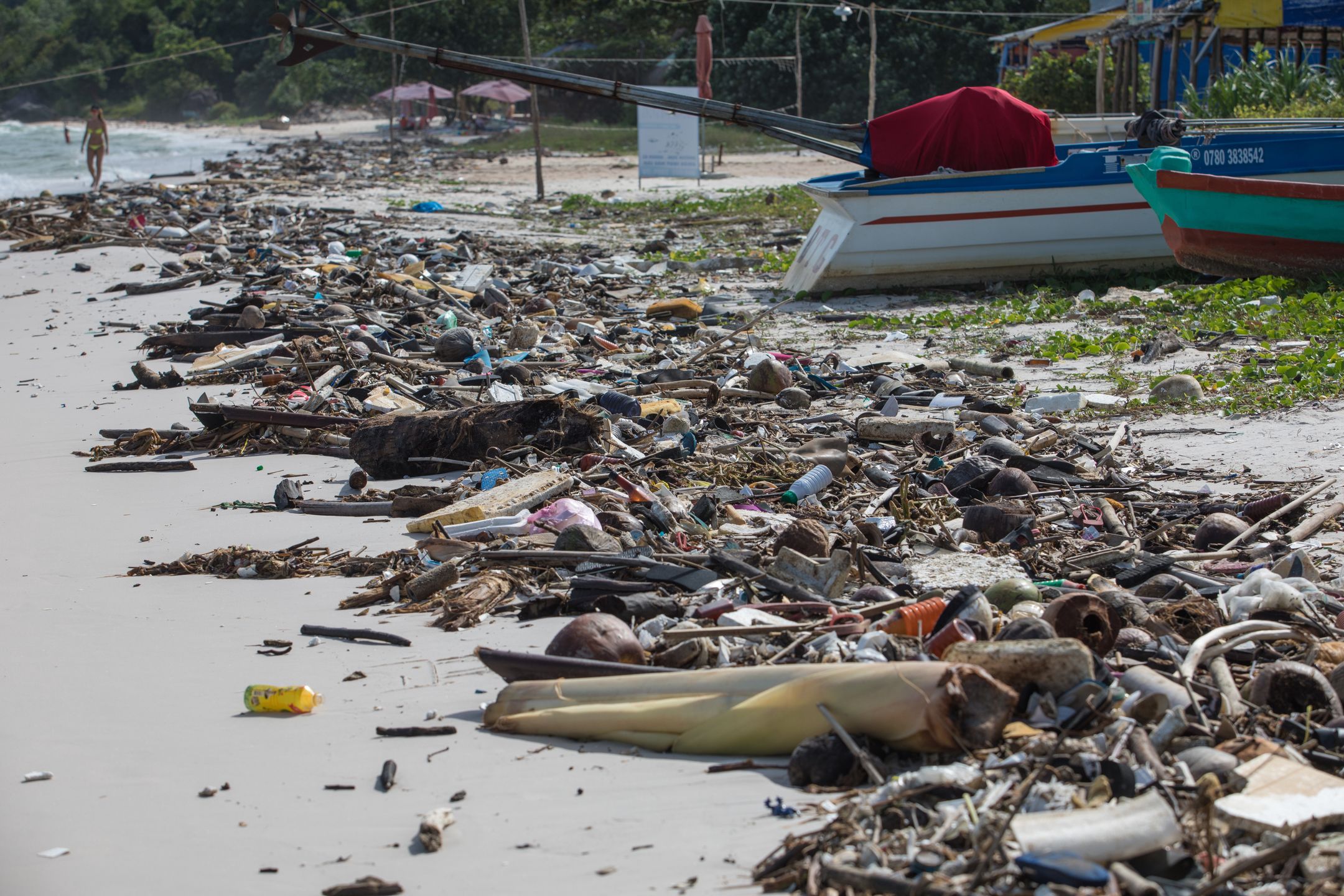Most polluted waters threaten biodiversity and human health