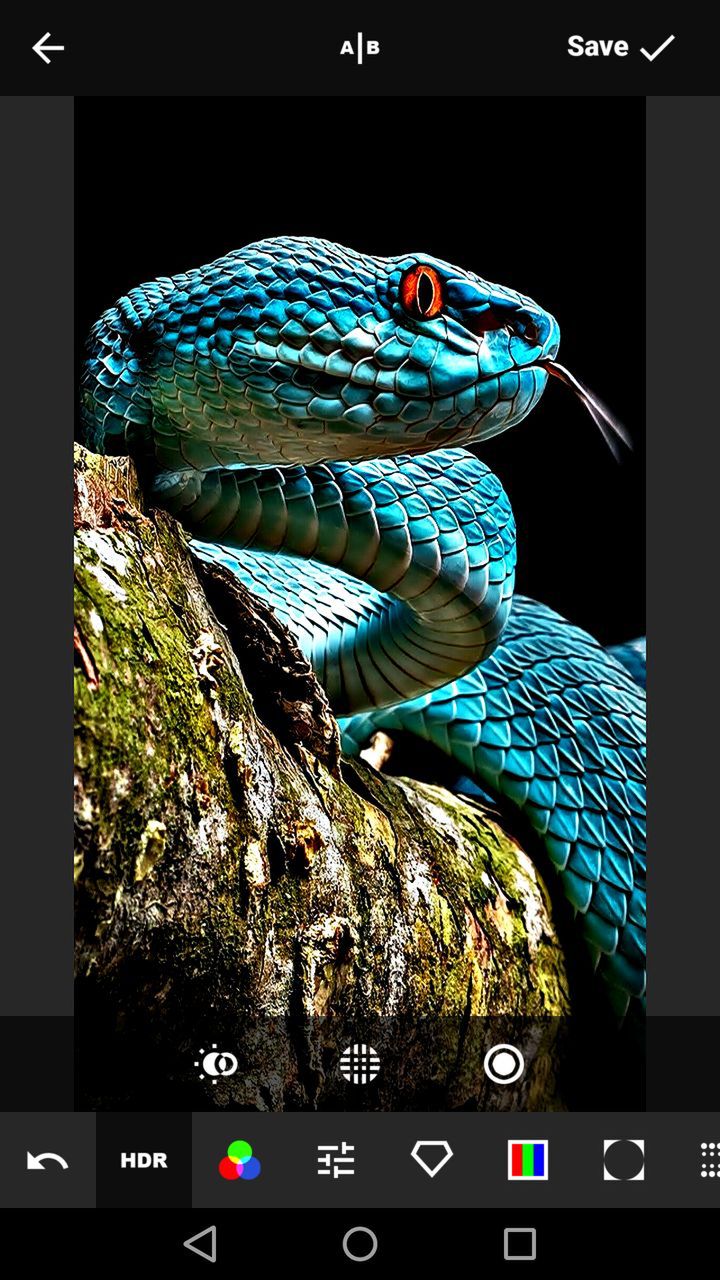 HDR Max 3.2 (Android) - dobreprogramy