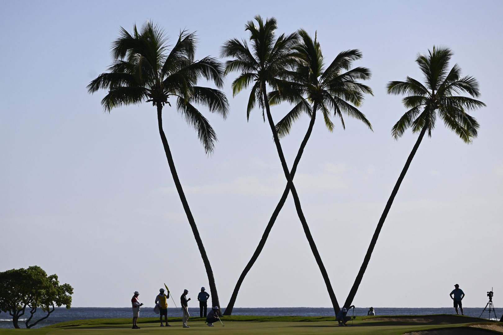 Hawaii Information Portal
