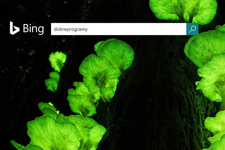 Bing Wallpaper: każdego dnia oglądaj nową piękną tapetę z usługi Bing