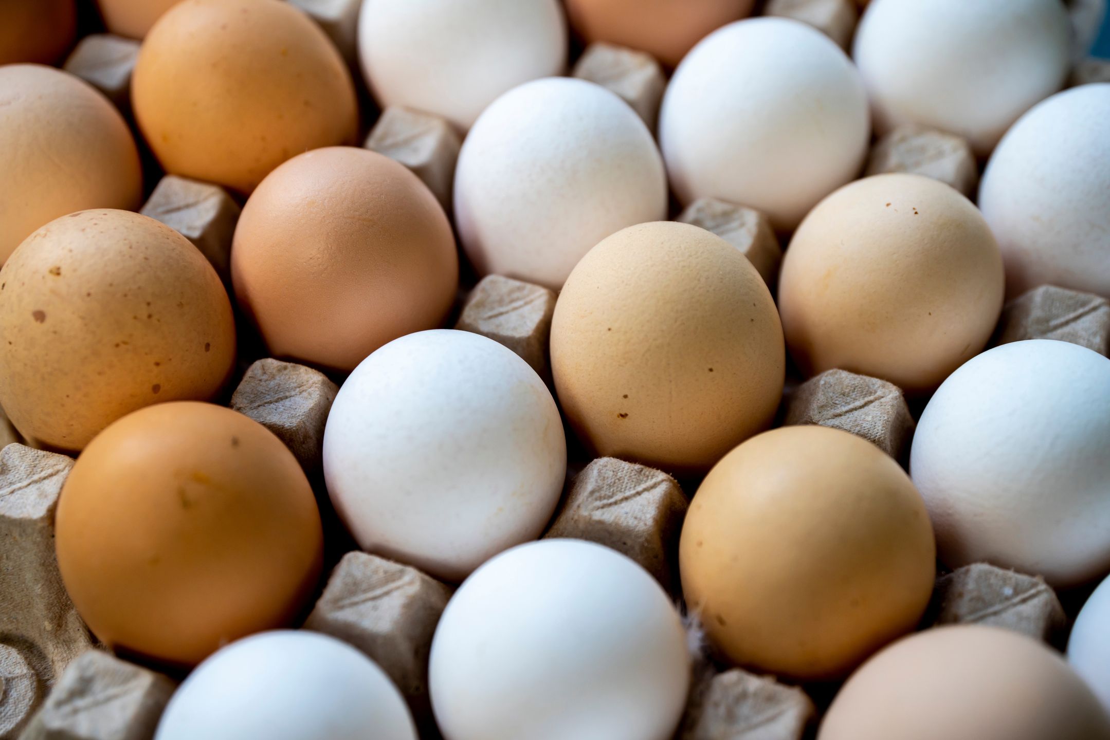 Don't toss those eggshells: Surprising ways to reuse them