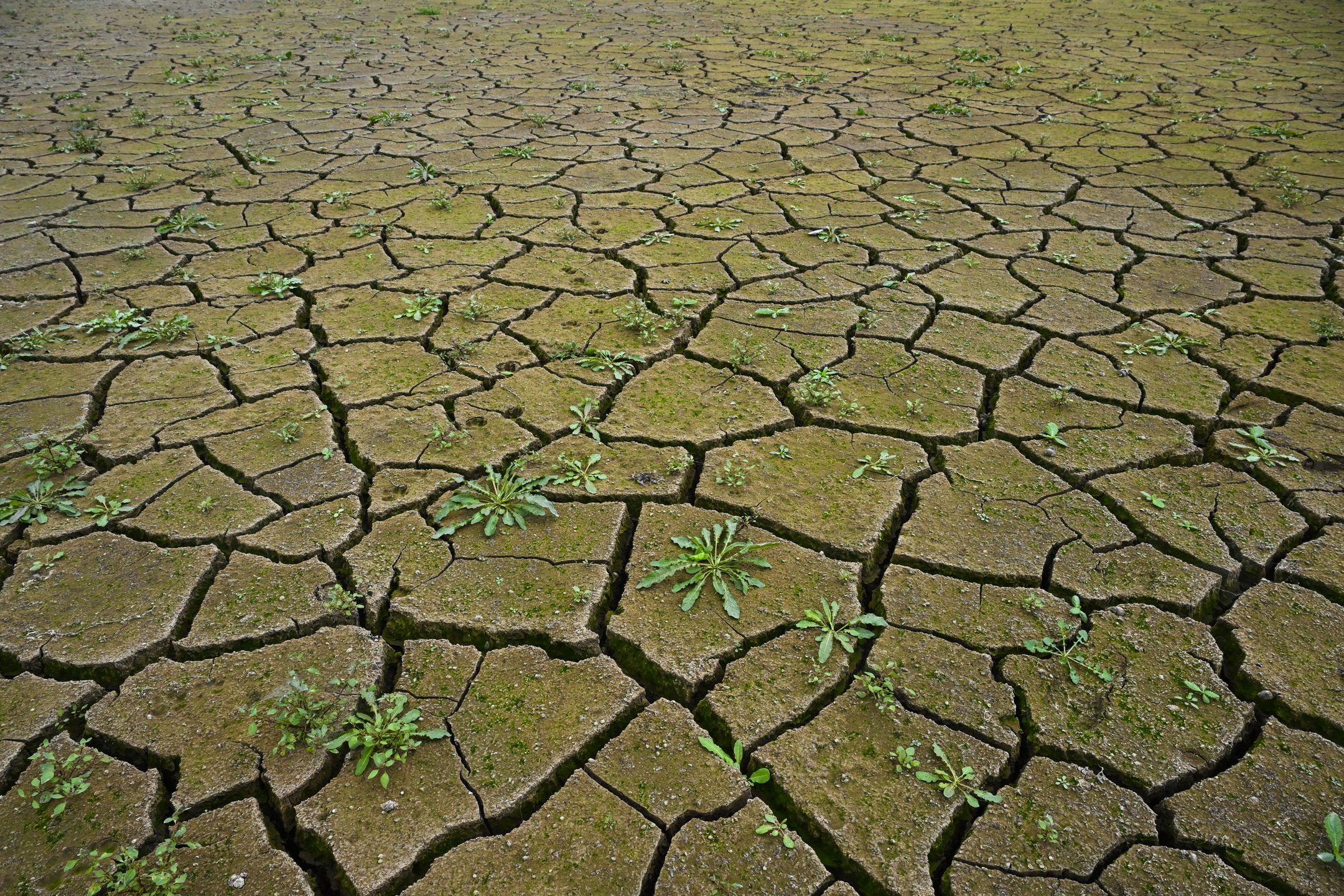 Lake Rusanda vanishes in historic Serbian heatwave
