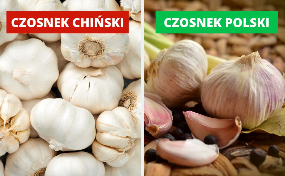 Jak odróżnić polski czosnek od chińskiego? Jeden z nich jest o wiele ...