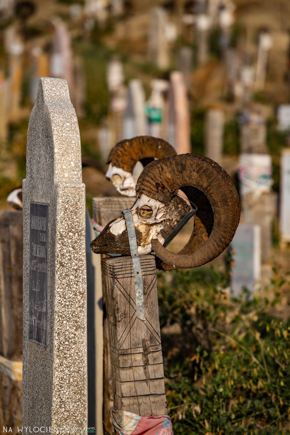 Wyjątkowa osada i tajemniczy cmentarz w górach Kopet Dag - WP Turystyka