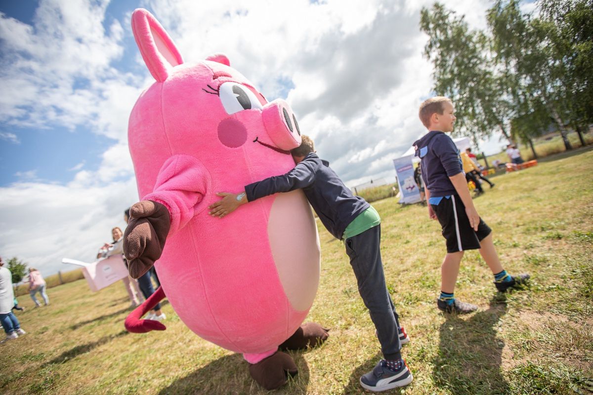 Pikniki z Czyściochami - WP Wiadomości