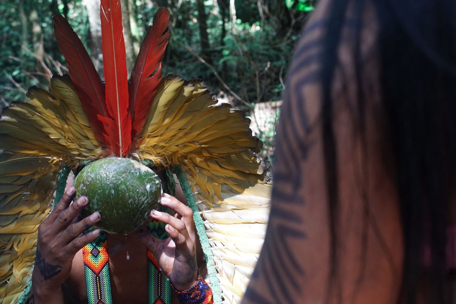 Vitor da Silva: "Społeczność postrzegana jako prymitywna nauczyła mnie ...